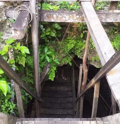 Die Cenote Kin Ha auf der Ruta de los Cenotes www.deepdivemexico.com